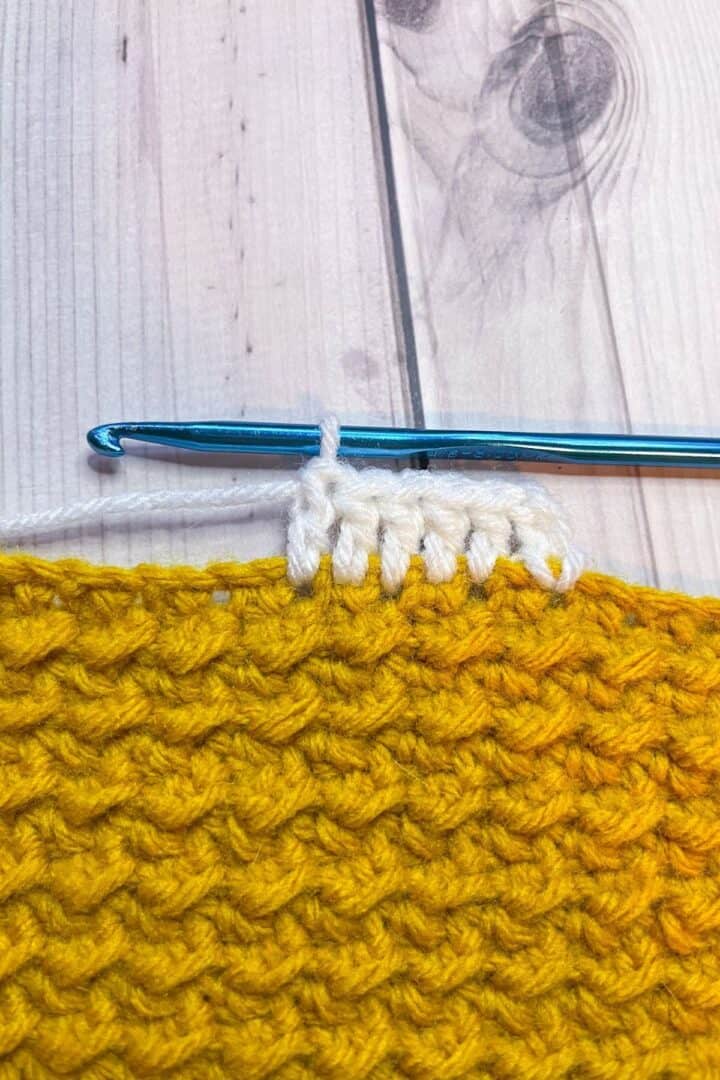 Double Crochet Border for Beginners - thecaffeinatedsnail.com