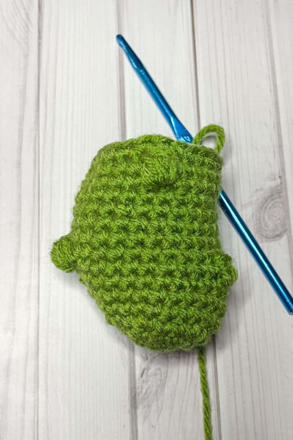 Crochet Pickle Pattern - thecaffeinatedsnail.com