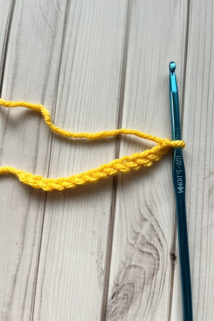 Crochet Crown Applique Pattern - thecaffeinatedsnail.com