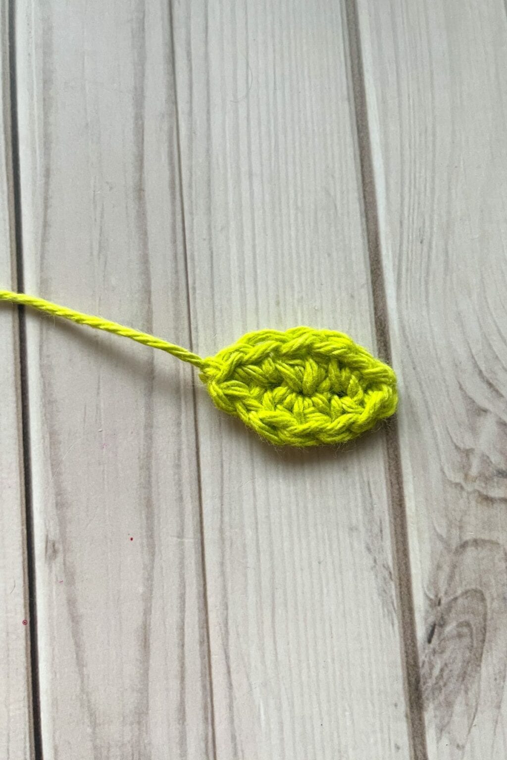 Crochet Tulip Coaster Pattern - thecaffeinatedsnail.com
