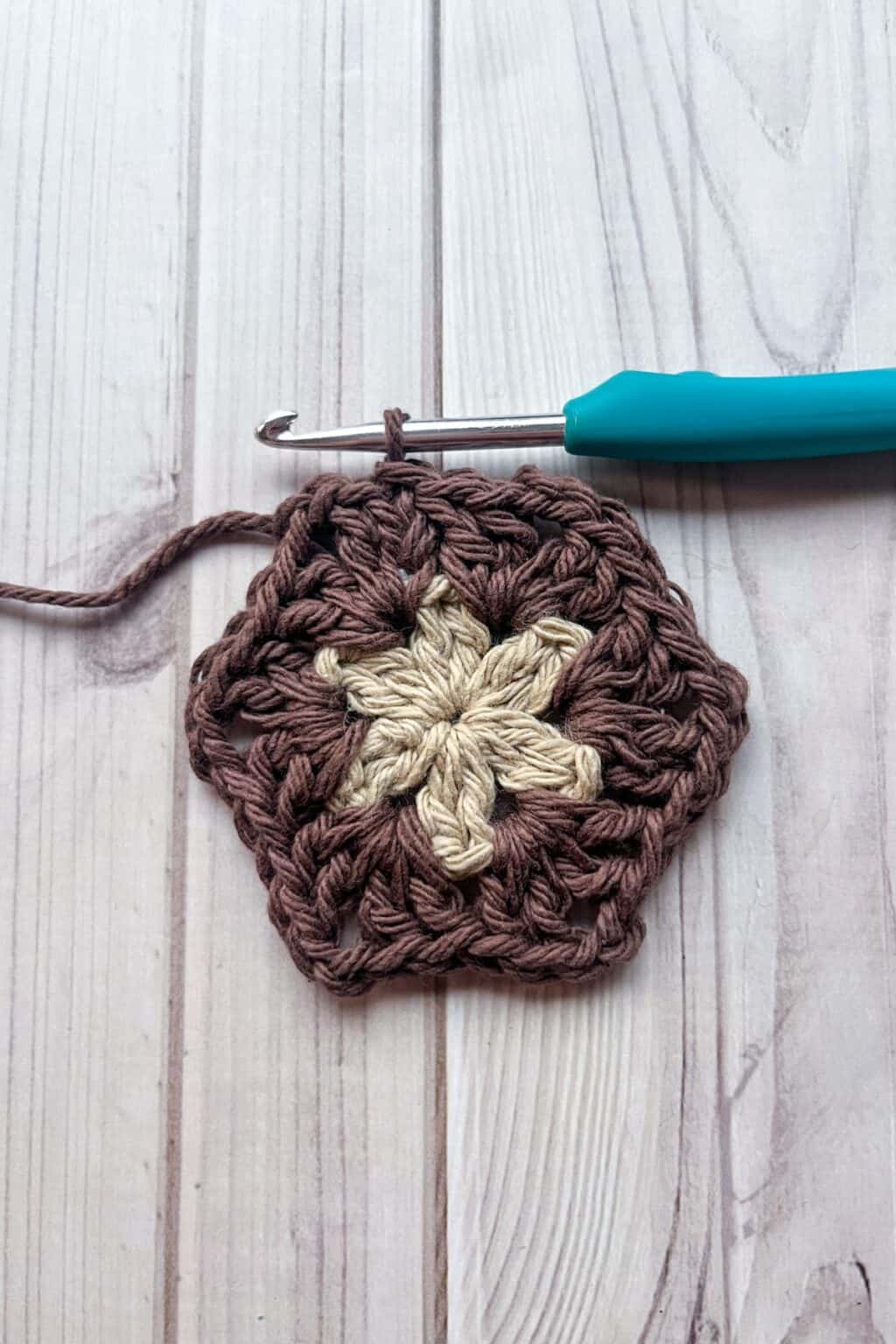 Crochet Turtle Coaster Pattern - thecaffeinatedsnail.com