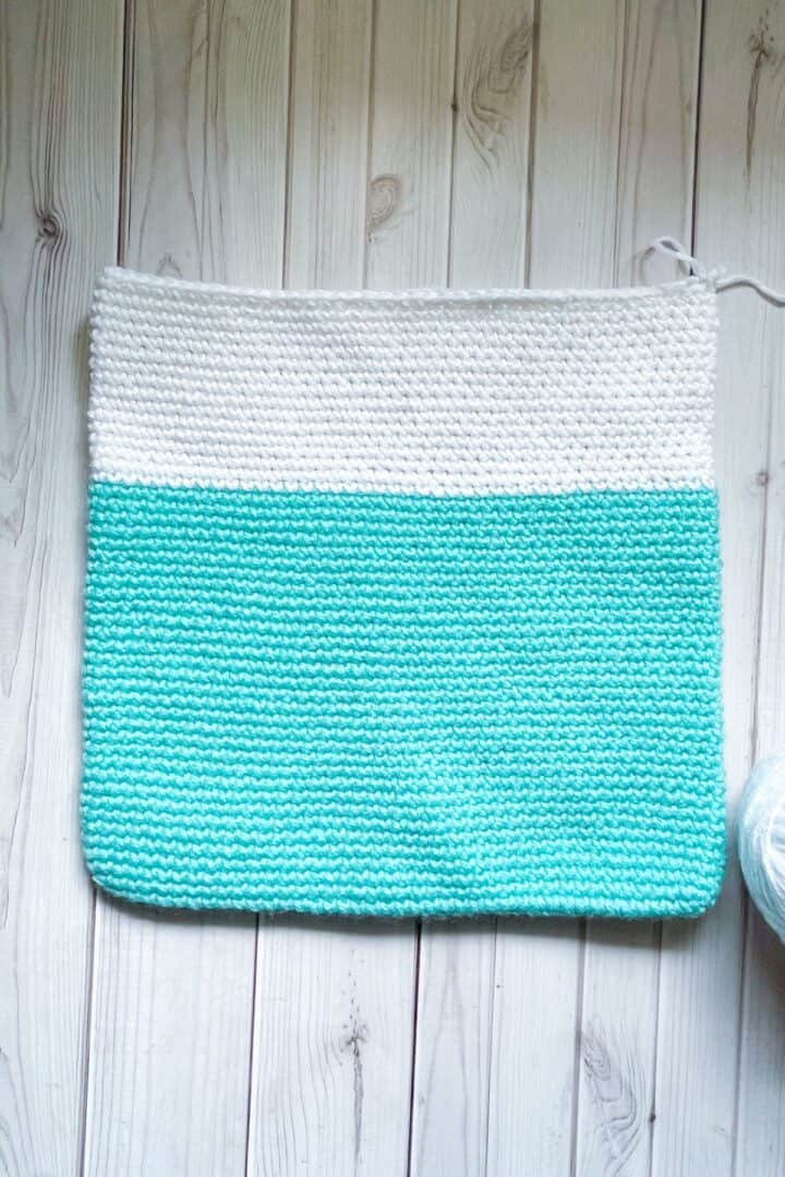 Crochet Fish Bag Pattern - thecaffeinatedsnail.com