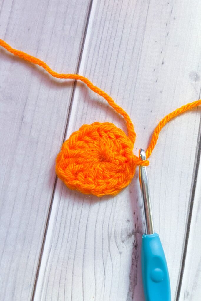 Crochet Fish Bag Pattern - thecaffeinatedsnail.com