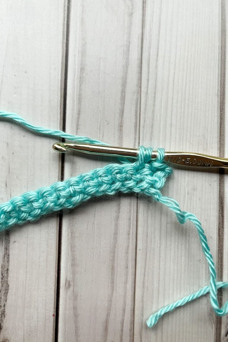 Crochet Berry Stitch - thecaffeinatedsnail.com