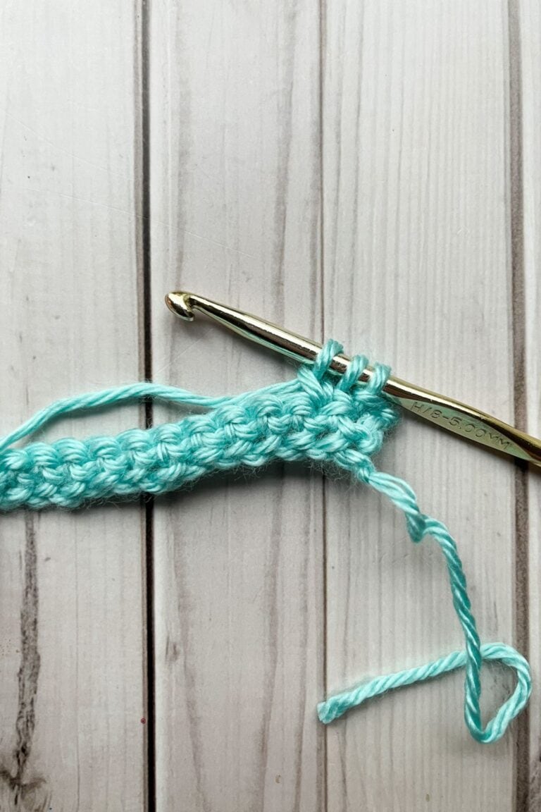 Crochet Berry Stitch - thecaffeinatedsnail.com