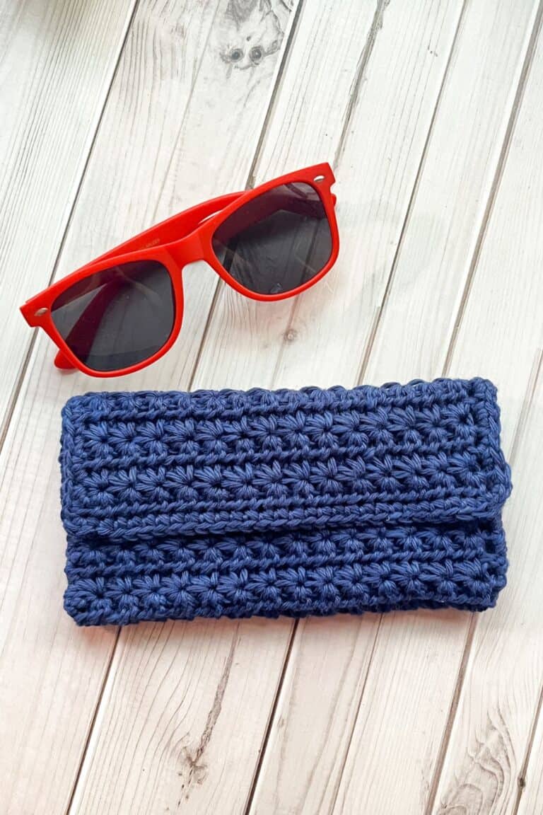 Crochet Glasses Case Pattern - thecaffeinatedsnail.com