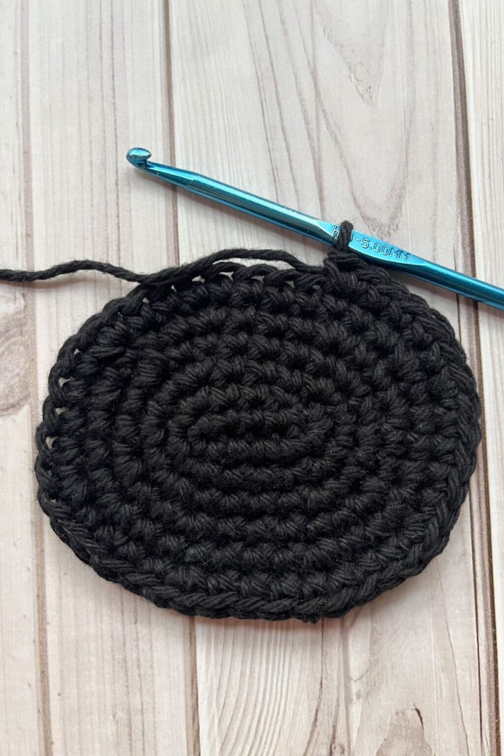 Crochet Spider Coaster Pattern - thecaffeinatedsnail.com