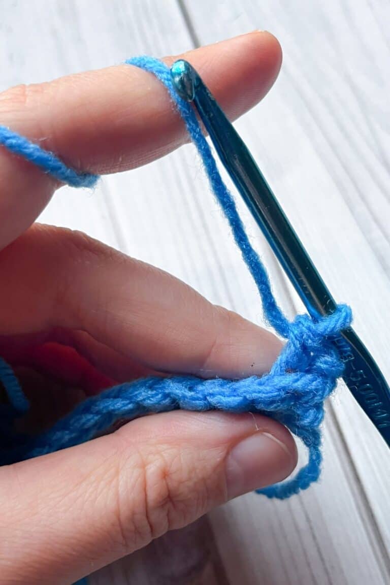 How to Crochet in Back Loop Only - thecaffeinatedsnail.com